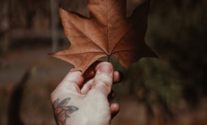 Fall Tattoo Ideas | Autumn Themed Tattoos to Choose